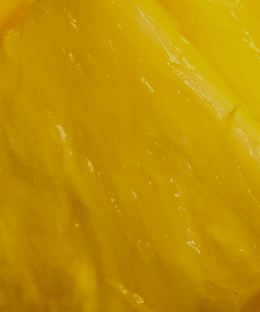 CRUSHED FRUITS – Régime des Fleurs